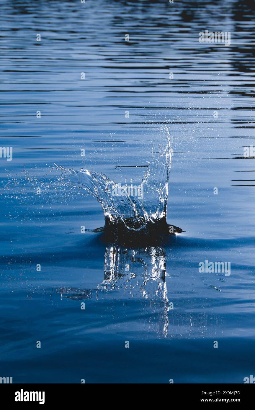 water splash, lake, stone, throwing, ripples, water, outdoors, nature ...
