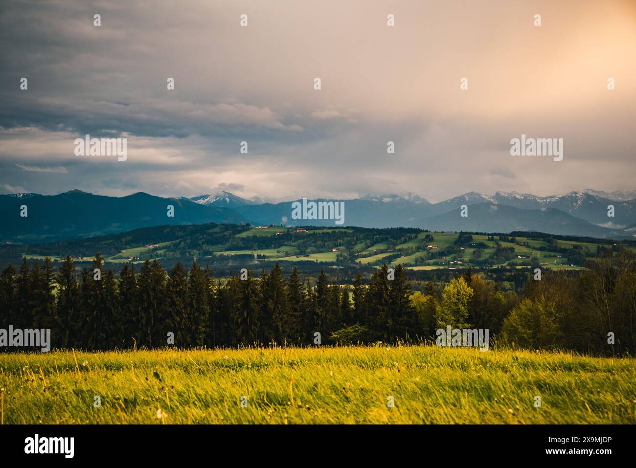 hohenpeissenberg, view, alps, clouds, mountains, fog, rain, weather ...