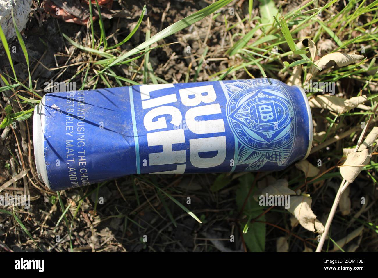 Budweiser beer can hi-res stock photography and images - Alamy