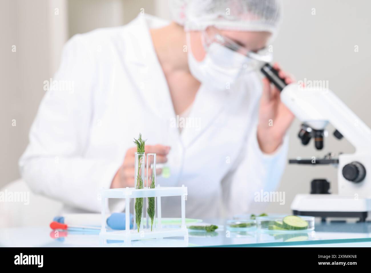 Quality control. Food inspector checking safety of products in ...
