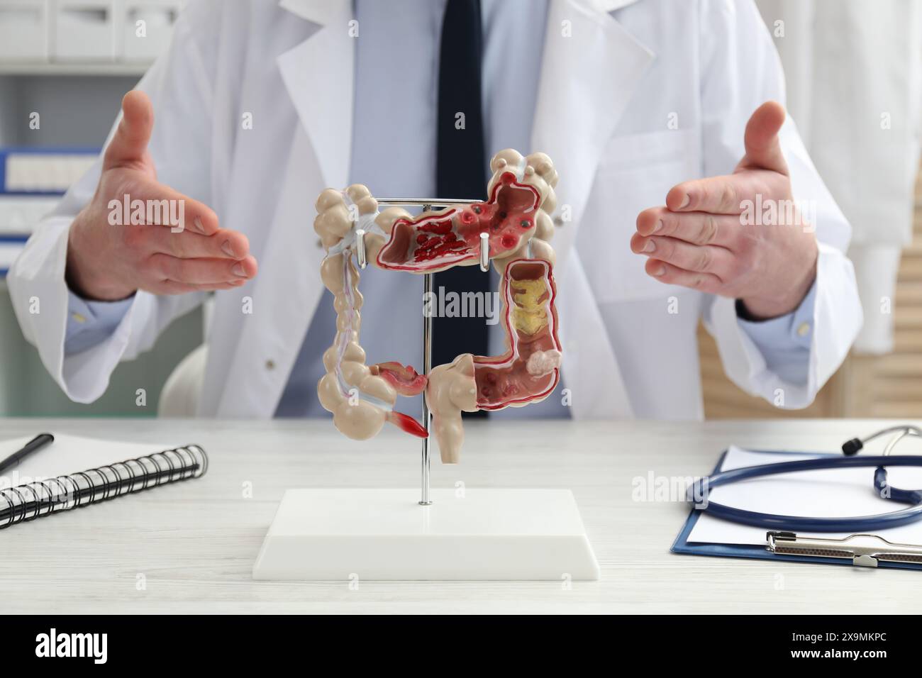 Doctor showing model of large intestine at white wooden table in clinic ...