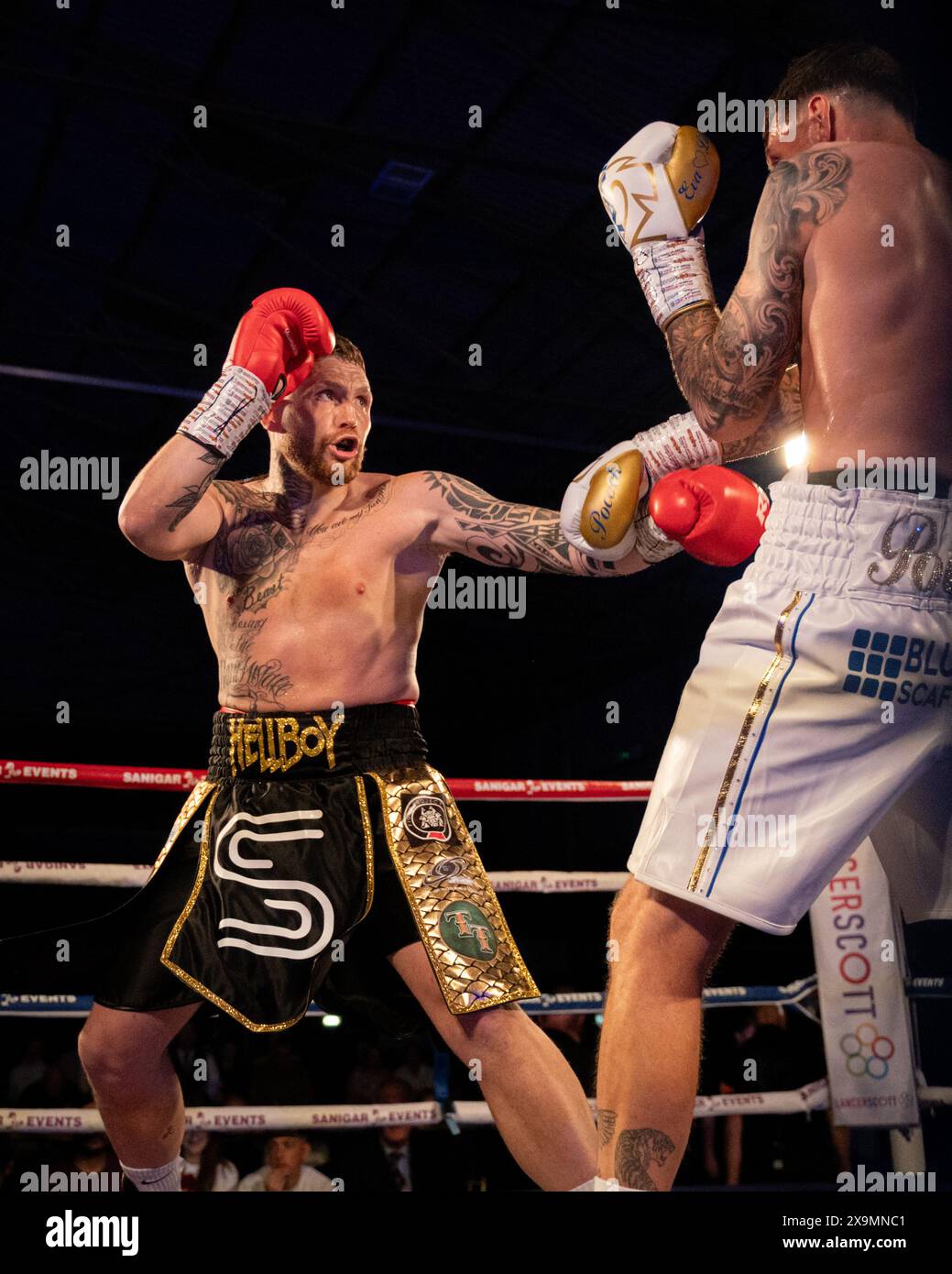 Cardiff, UK. 01st June, 2024. Ethan George V Ryan Pocock boxing match ...