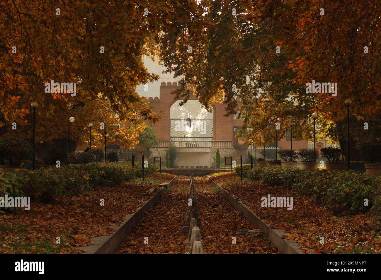 A park scene with fallen autumn leaves covering a path, surrounded by ...