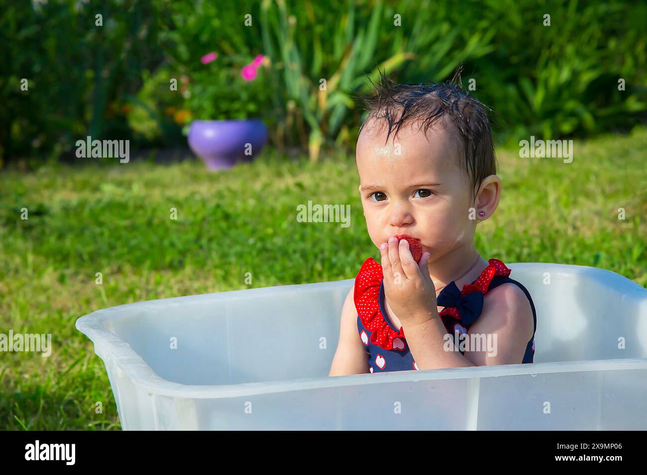 A child sitting in a tub in a garden eating a strawberry, Belarus ...