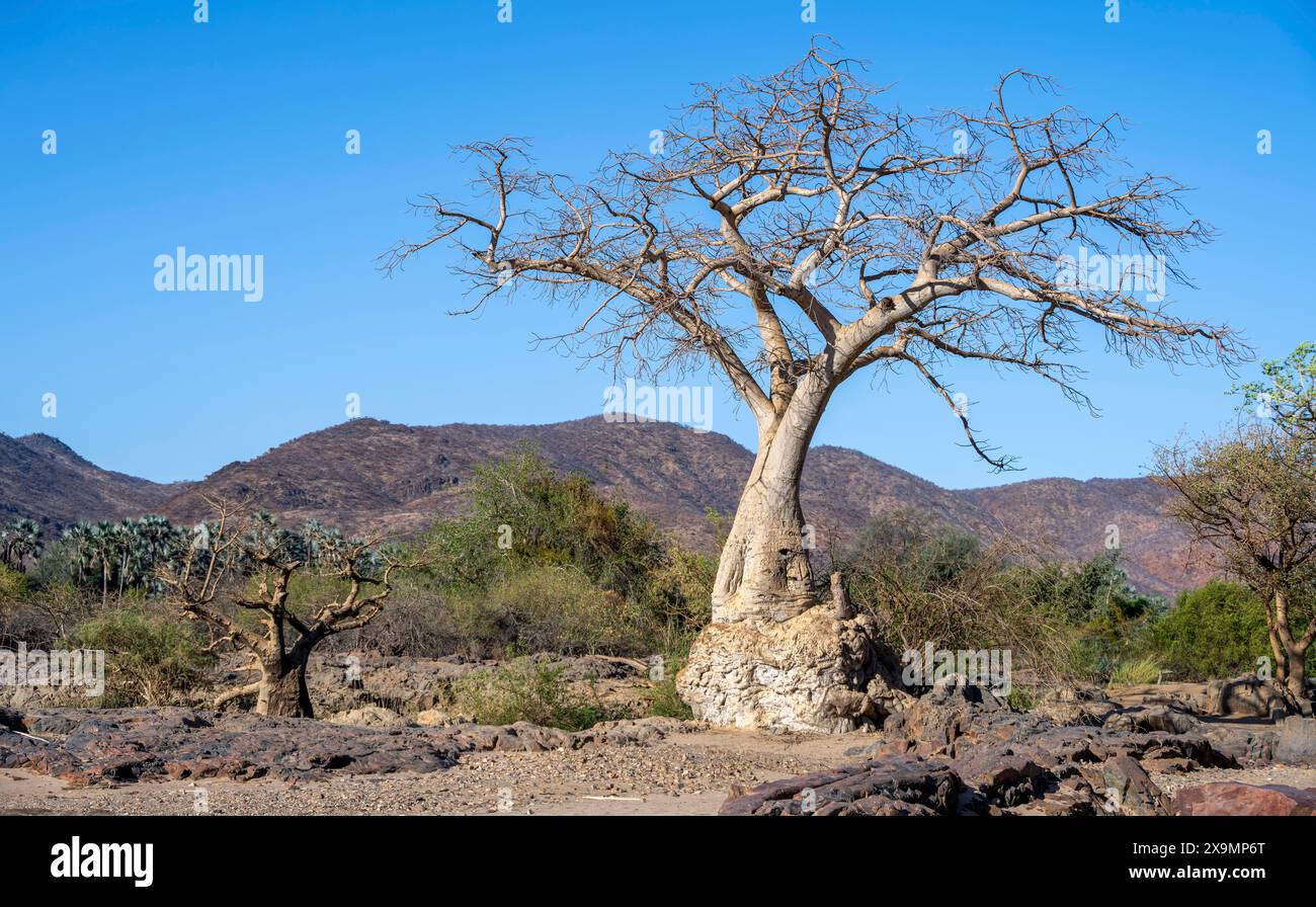 African dry landscape hi-res stock photography and images - Alamy