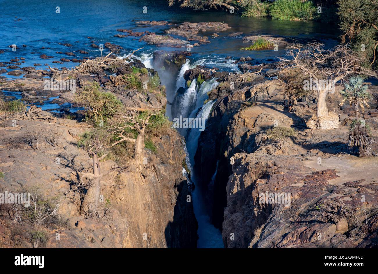 Kunene River, waterfall and African Baobab (Adansonia digitata), in the ...