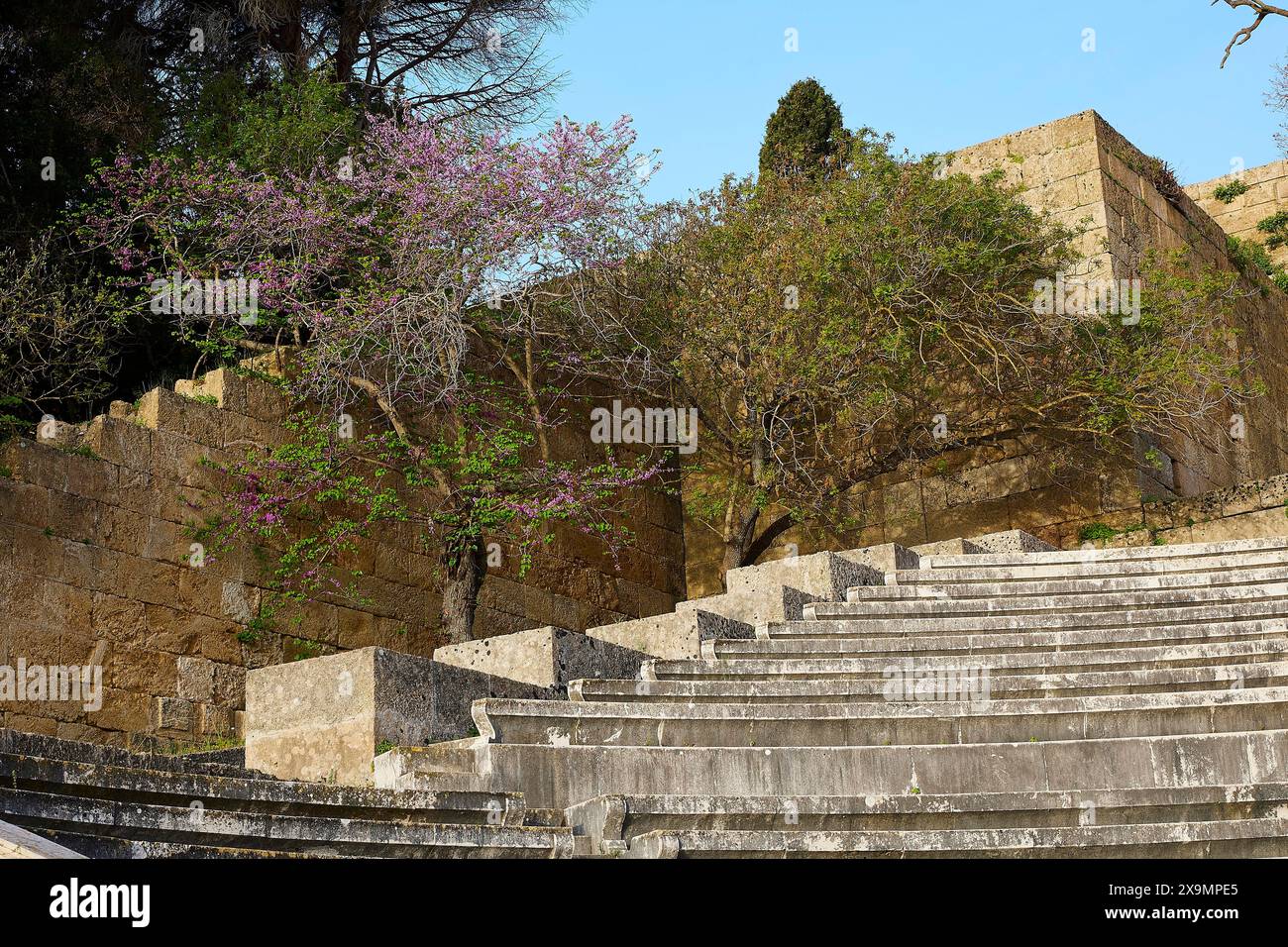 Ancient amphitheatre with stone seating steps surrounded by flowering ...