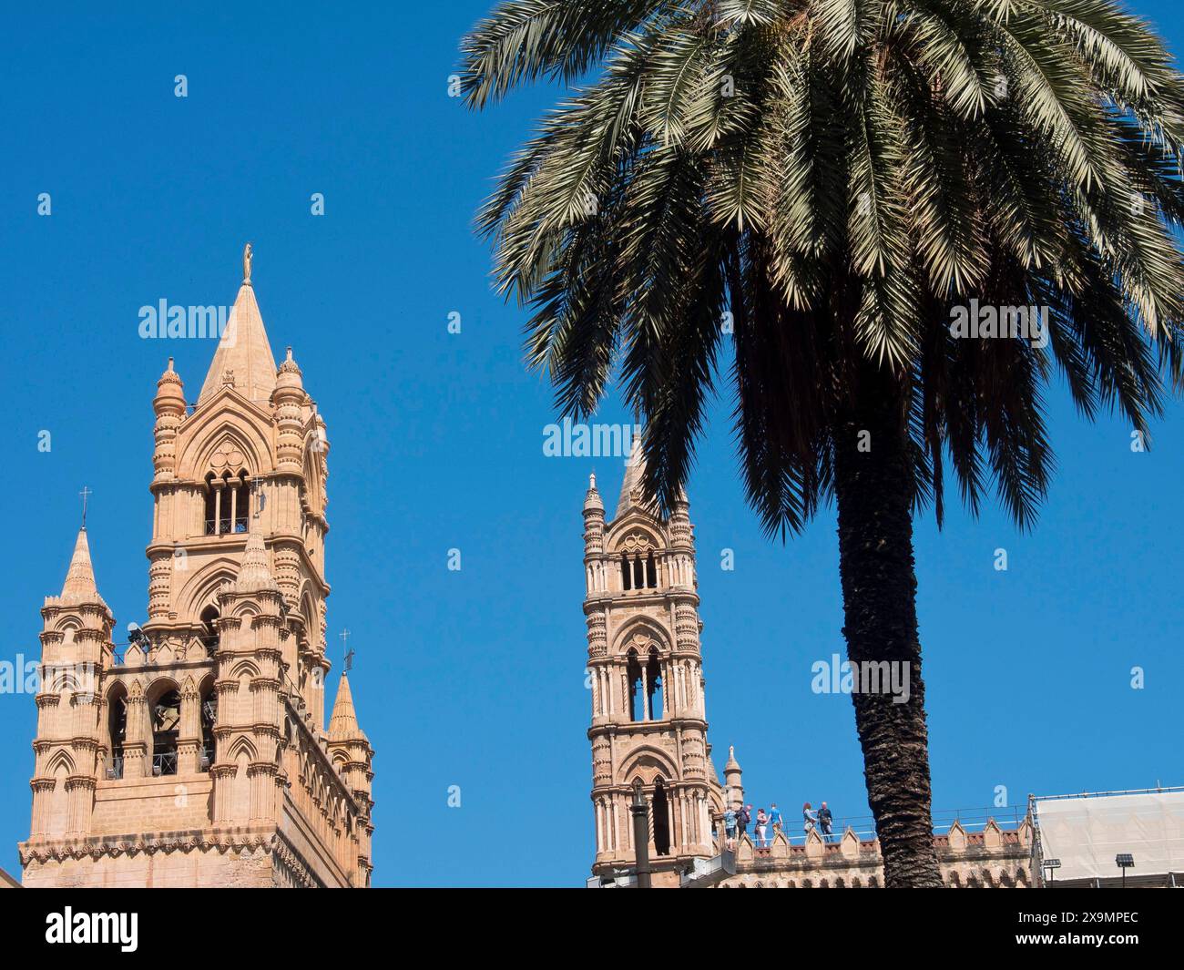 Gothic church towers and palm trees against a clear blue sky, palermo ...