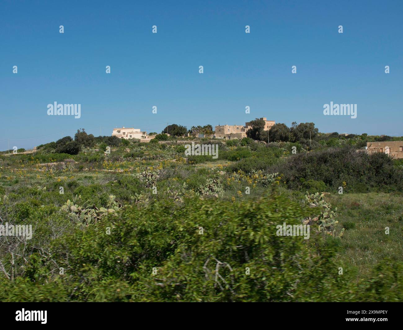 Green landscape with scattered houses under a bright blue sky, the ...