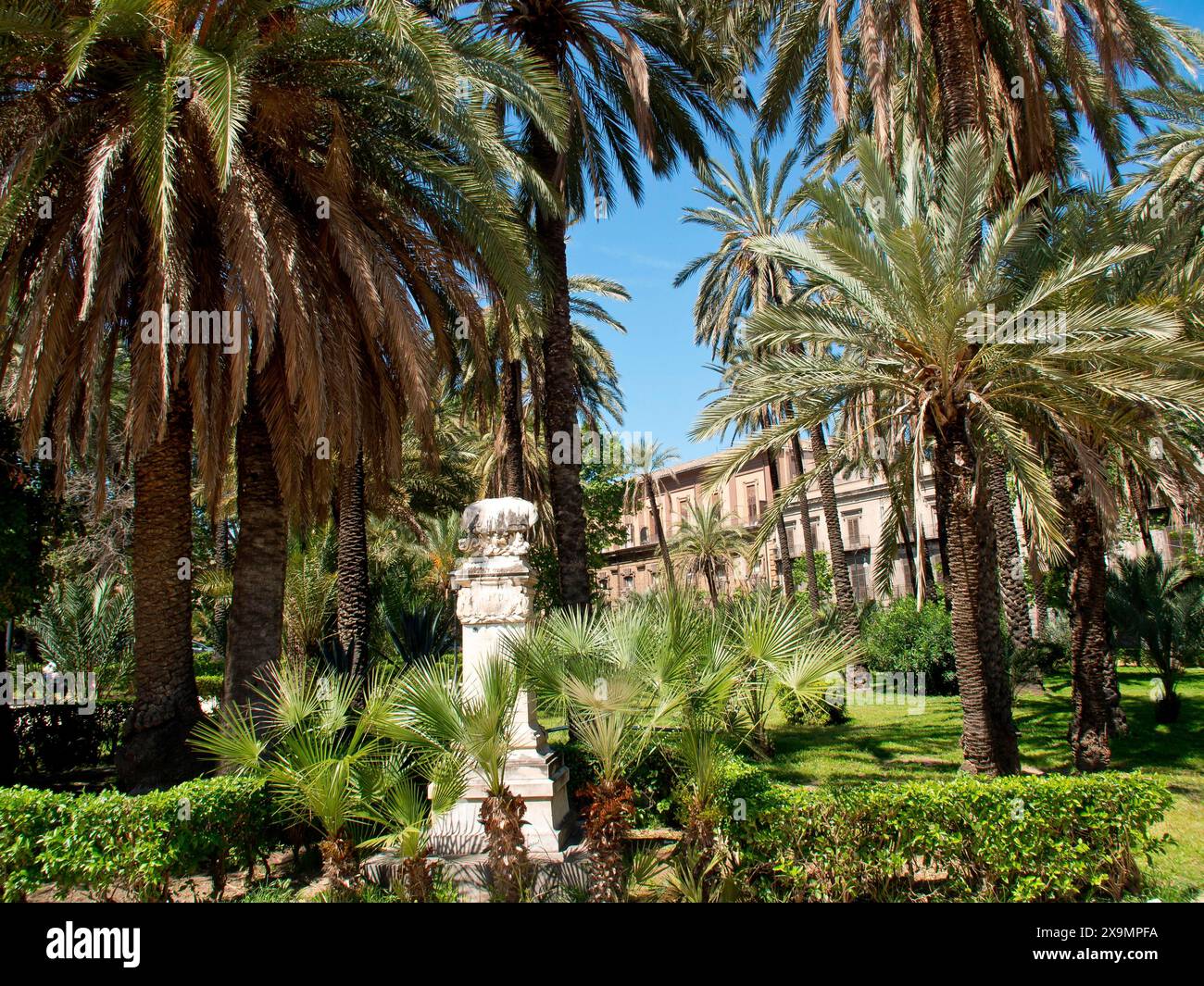 A tropical garden with tall palm trees and an ancient sculpture ...