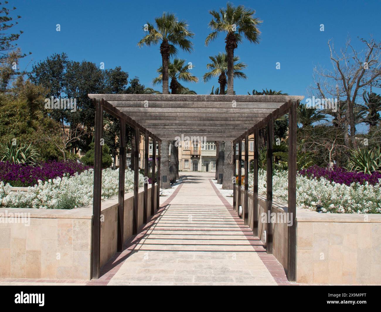 A well-kept park path with palm trees and flowers leading to an ...