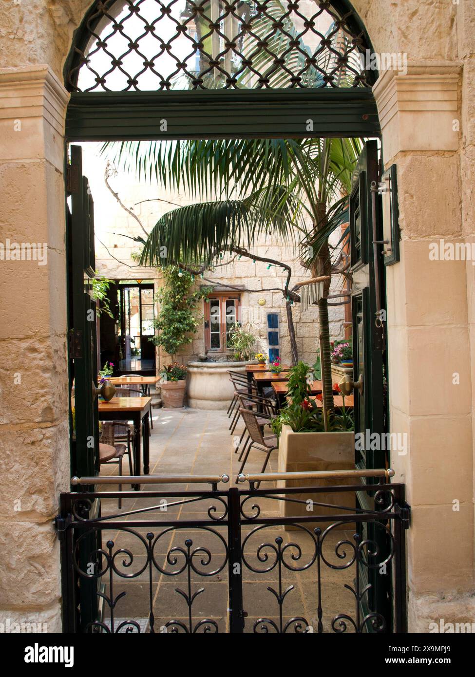 Entrance gate palm trees hi-res stock photography and images - Alamy