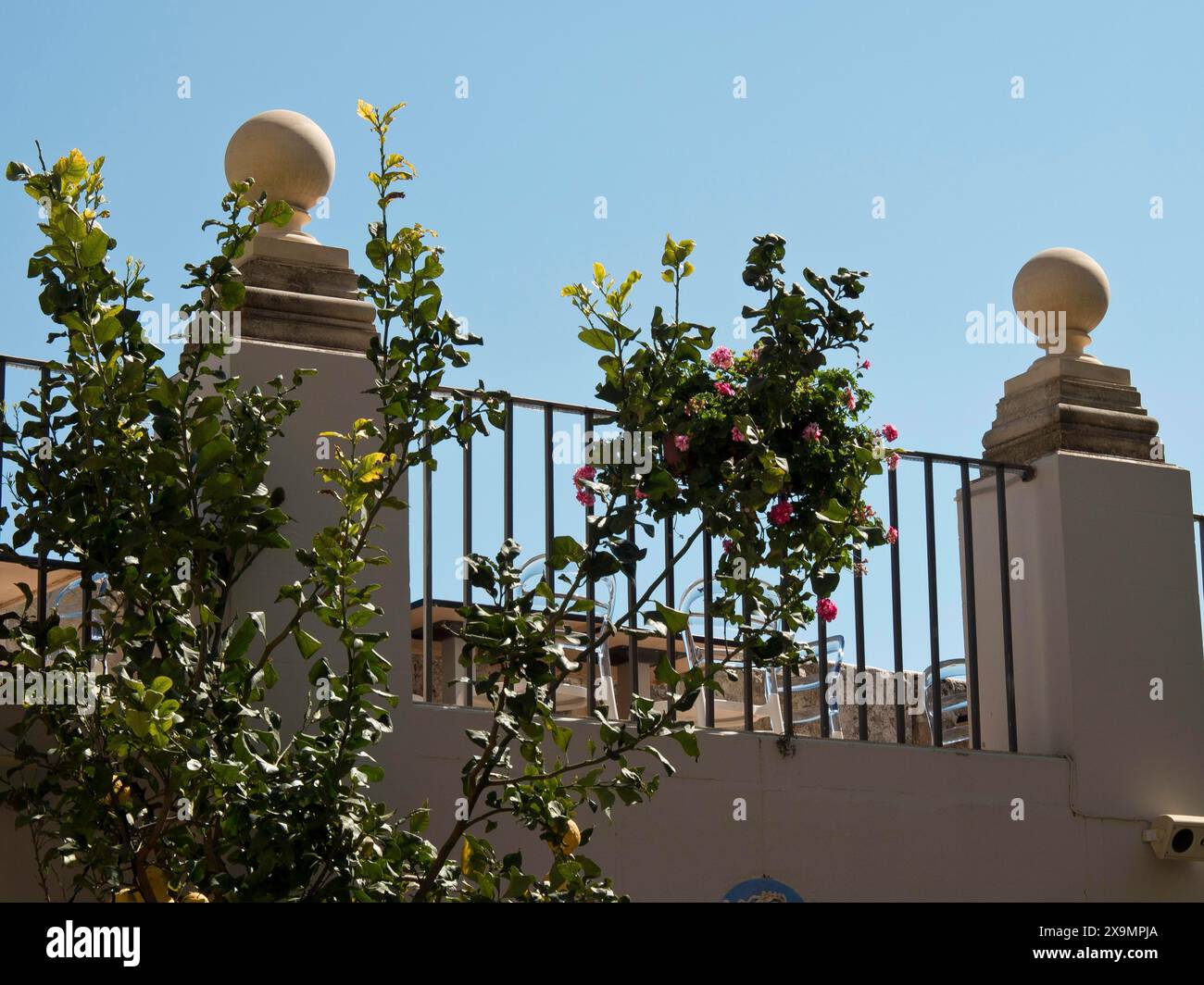 Balustrade with plants in pots and decorations, blue sky above in sunny ...