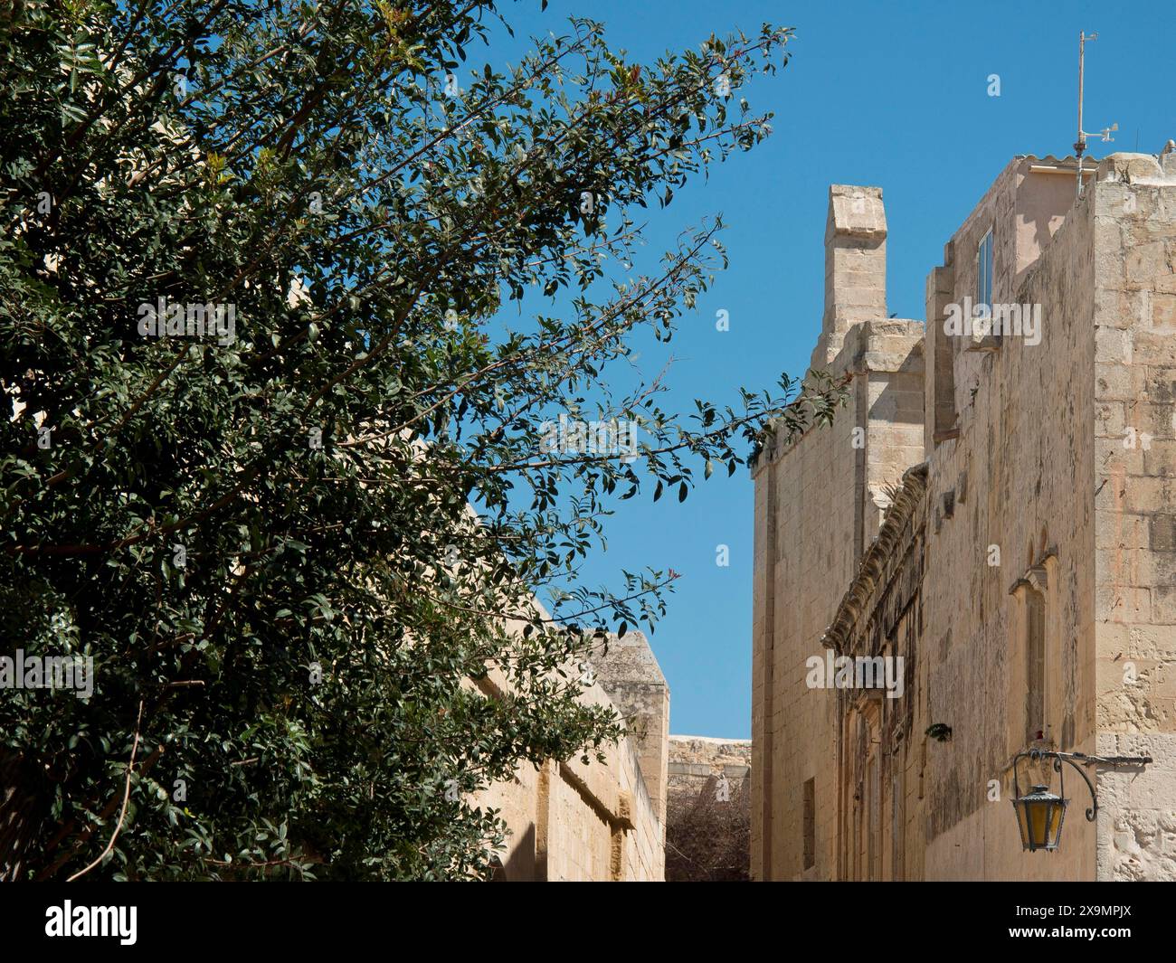 Historic street view with old buildings, stone walls and overgrown ...