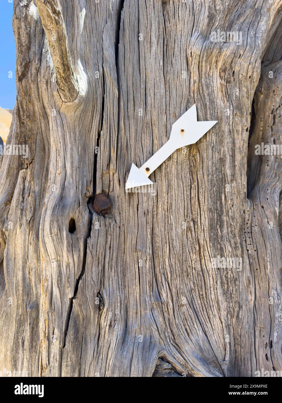 Arrow-marked projectile fired in 1866 by Turks Ottomans Ottoman Empire ...
