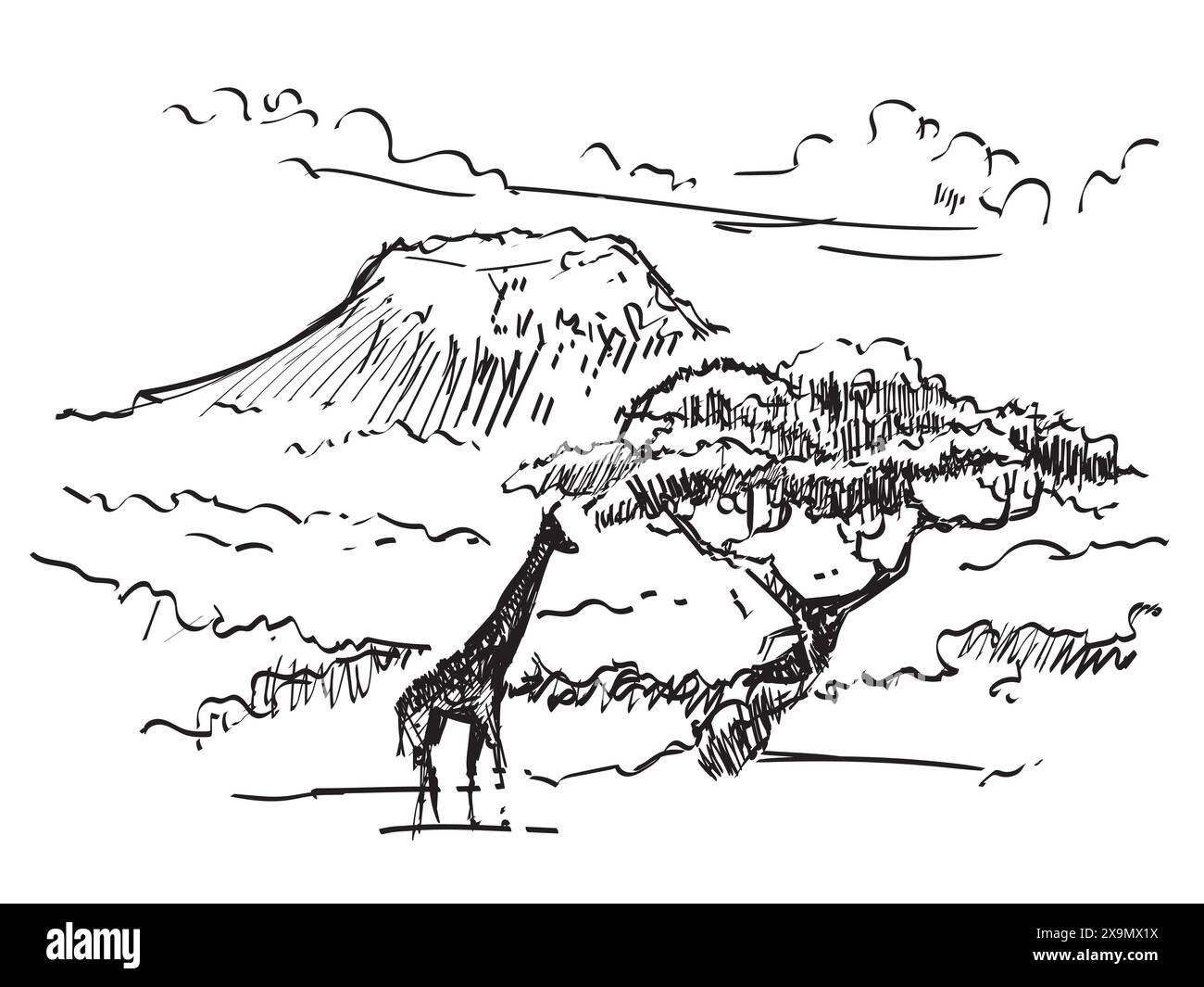 illustration sketch of giraffe in savannah Africa safari scene of ...