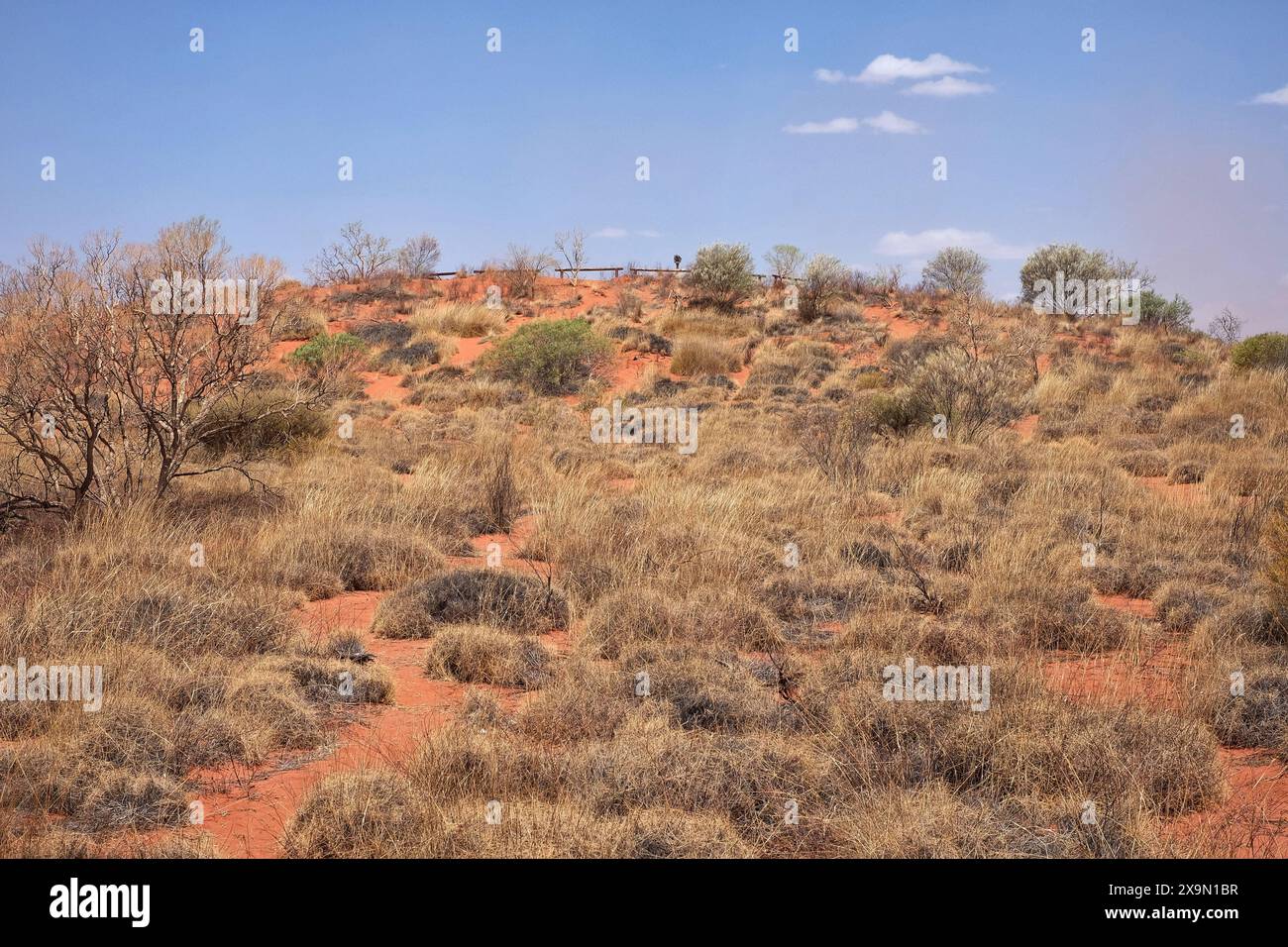 View looking up the hill of Imalung lookout, red sand, scrub and desert ...
