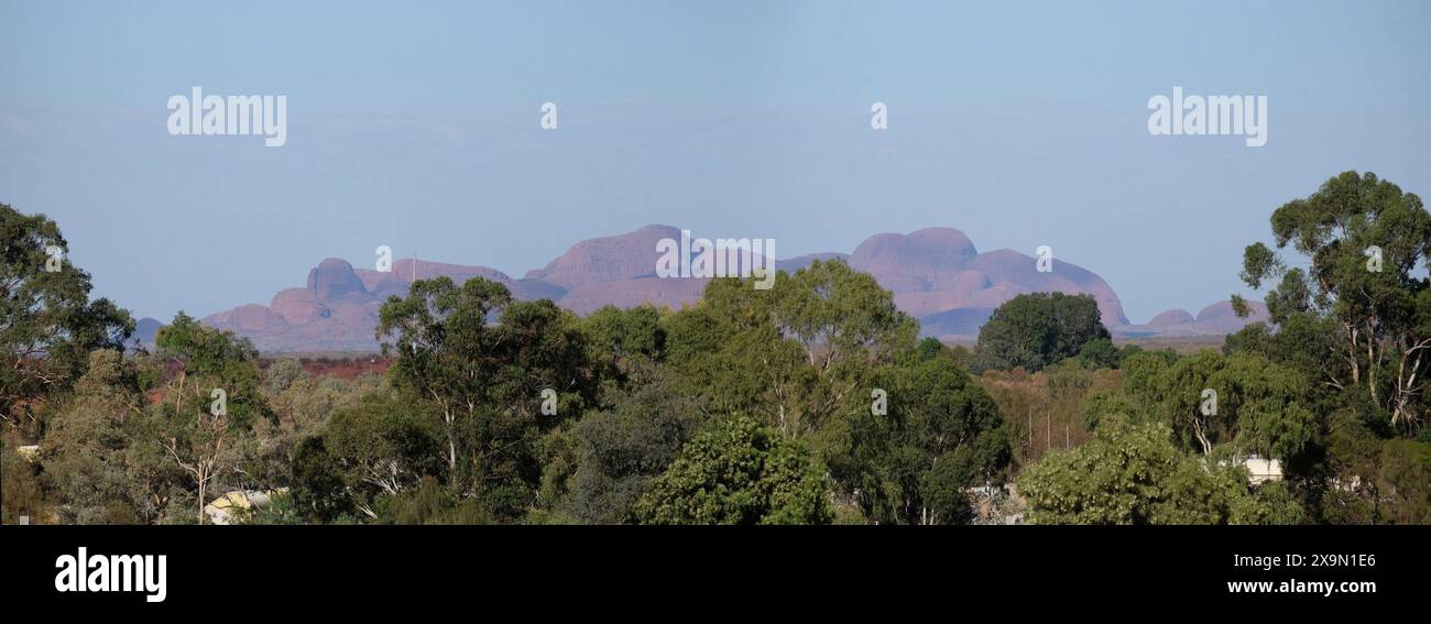 Uluru-Kata Tjuta, The Olgas massive sandstone monoliths and trees in ...