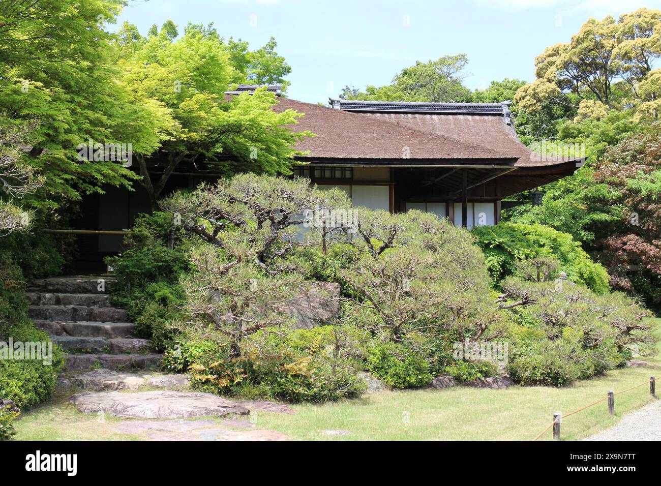 Fresh green in Okochi-sanso Garden, Kyoto, Japan Stock Photo - Alamy