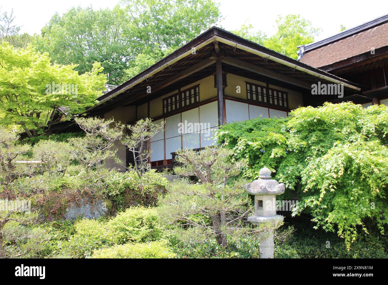 Fresh green in Okochi-sanso Garden, Kyoto, Japan Stock Photo - Alamy