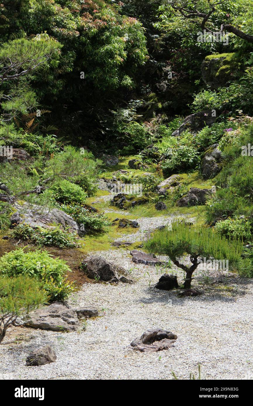 Okochi sanso japanese garden hi-res stock photography and images - Alamy
