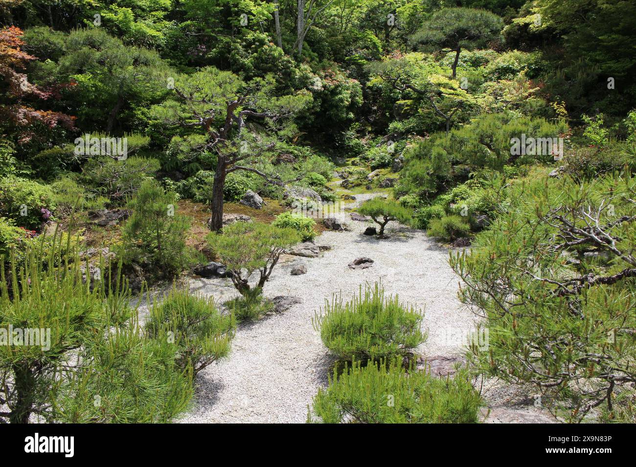 Fresh green in Okochi-sanso Japanese Garden, Kyoto, Japan Stock Photo ...