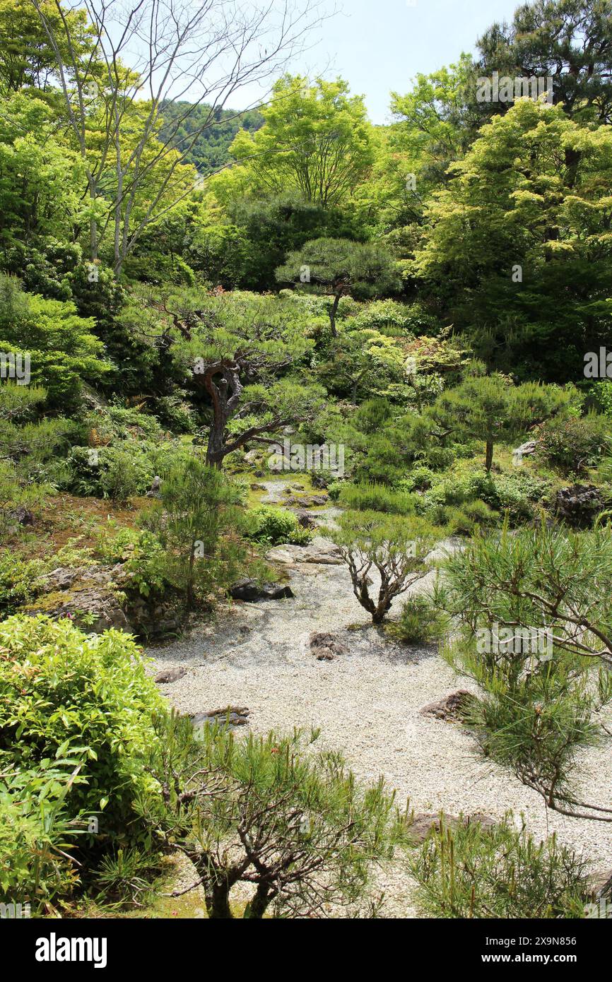 Fresh green in Okochi-sanso Japanese Garden, Kyoto, Japan Stock Photo ...