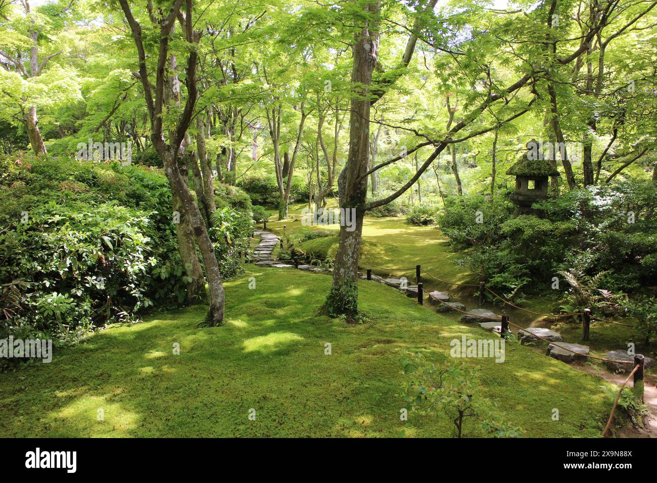 Fresh green in Okochi-sanso Garden, Kyoto, Japan Stock Photo - Alamy