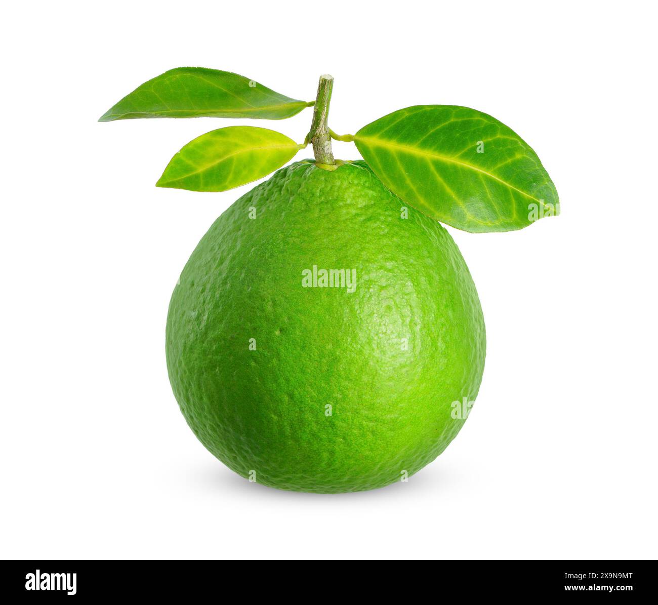 Acidless orange isolated on white background. Acidless orange clipping ...