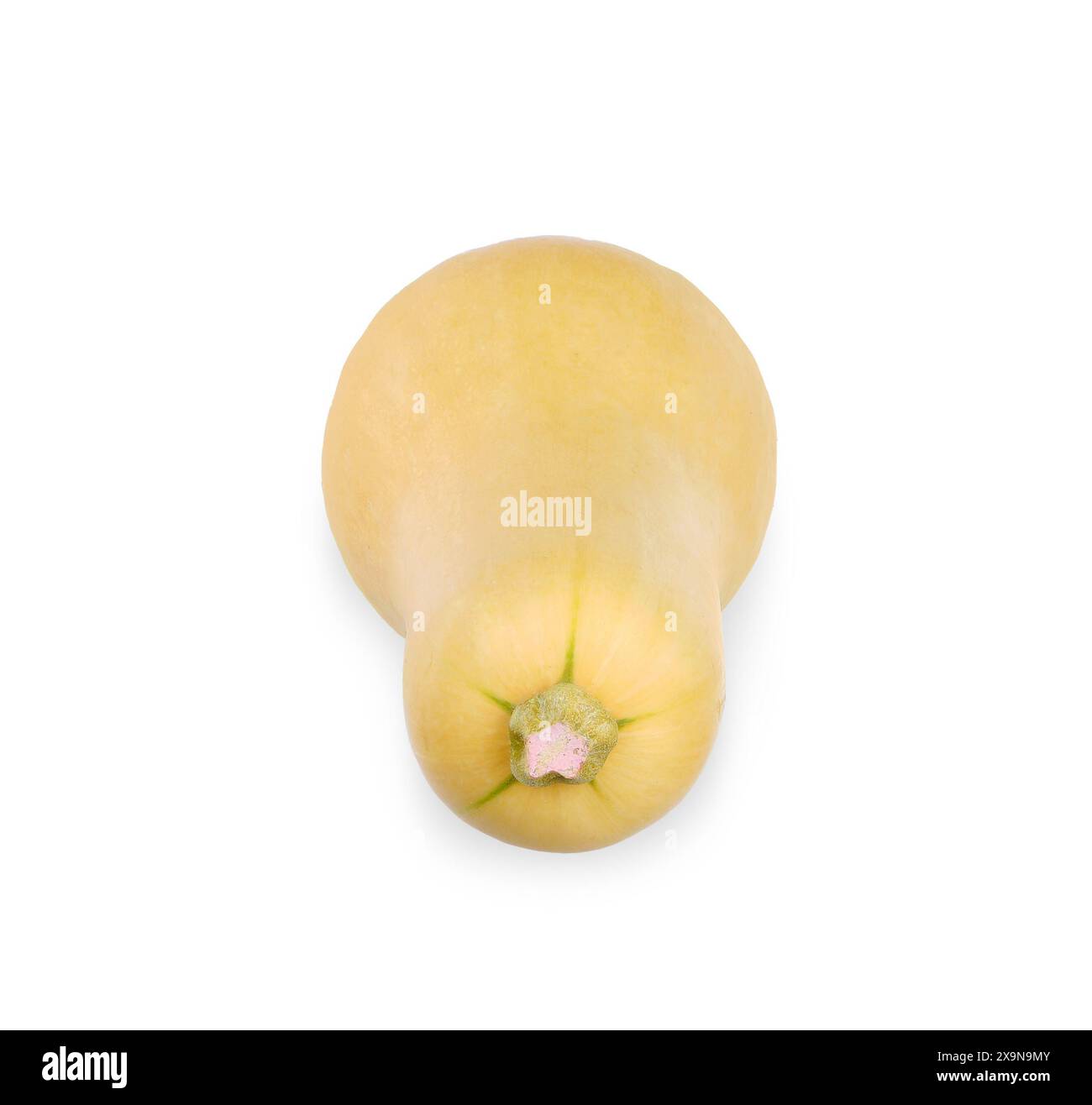Butternut isolated on white background. Butternut clipping path Stock ...