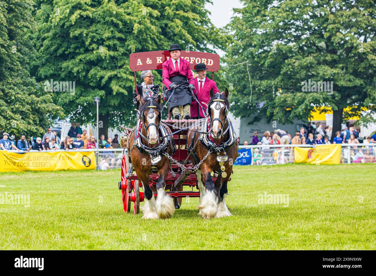 SHEPTON MALLET, SOMERSET, UK, 1st June, 2024, Images from the heavy horse competion featuring ...