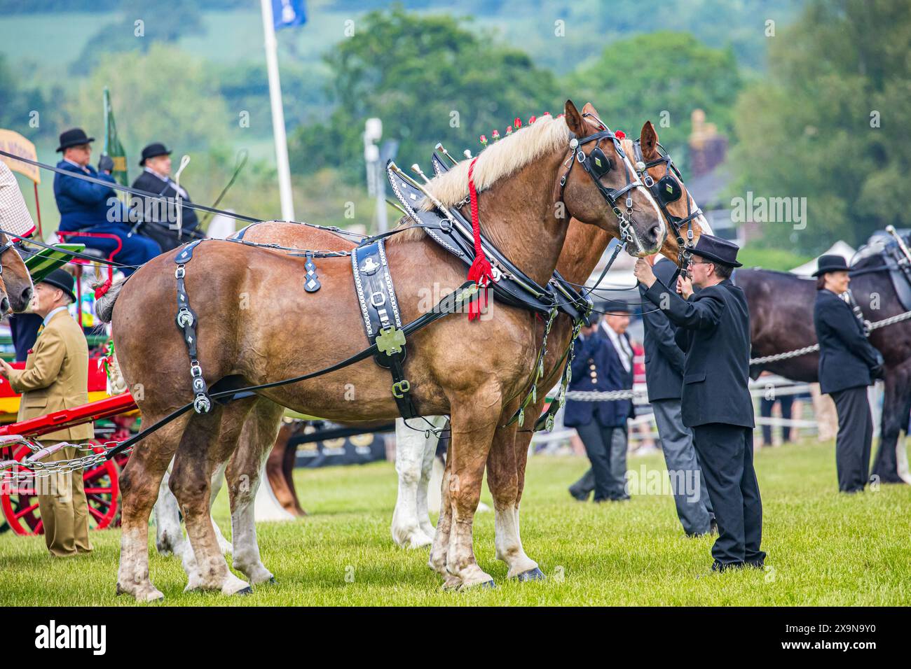 SHEPTON MALLET, SOMERSET, UK, 1st June, 2024, Images from the heavy ...