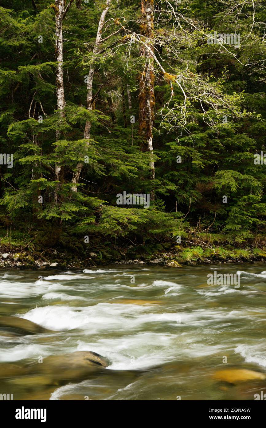 South Fork Stillaguamish River, Mountain Loop Highway, Cascade ...