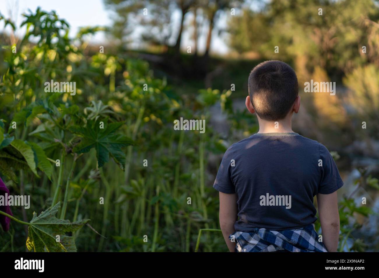 Child from behind Stock Photo - Alamy