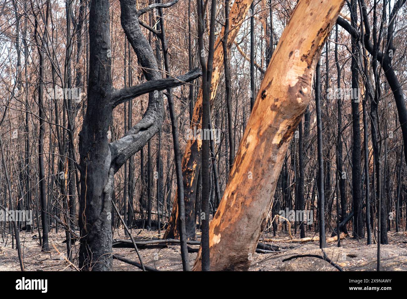 Australian disaster relief hi-res stock photography and images - Alamy