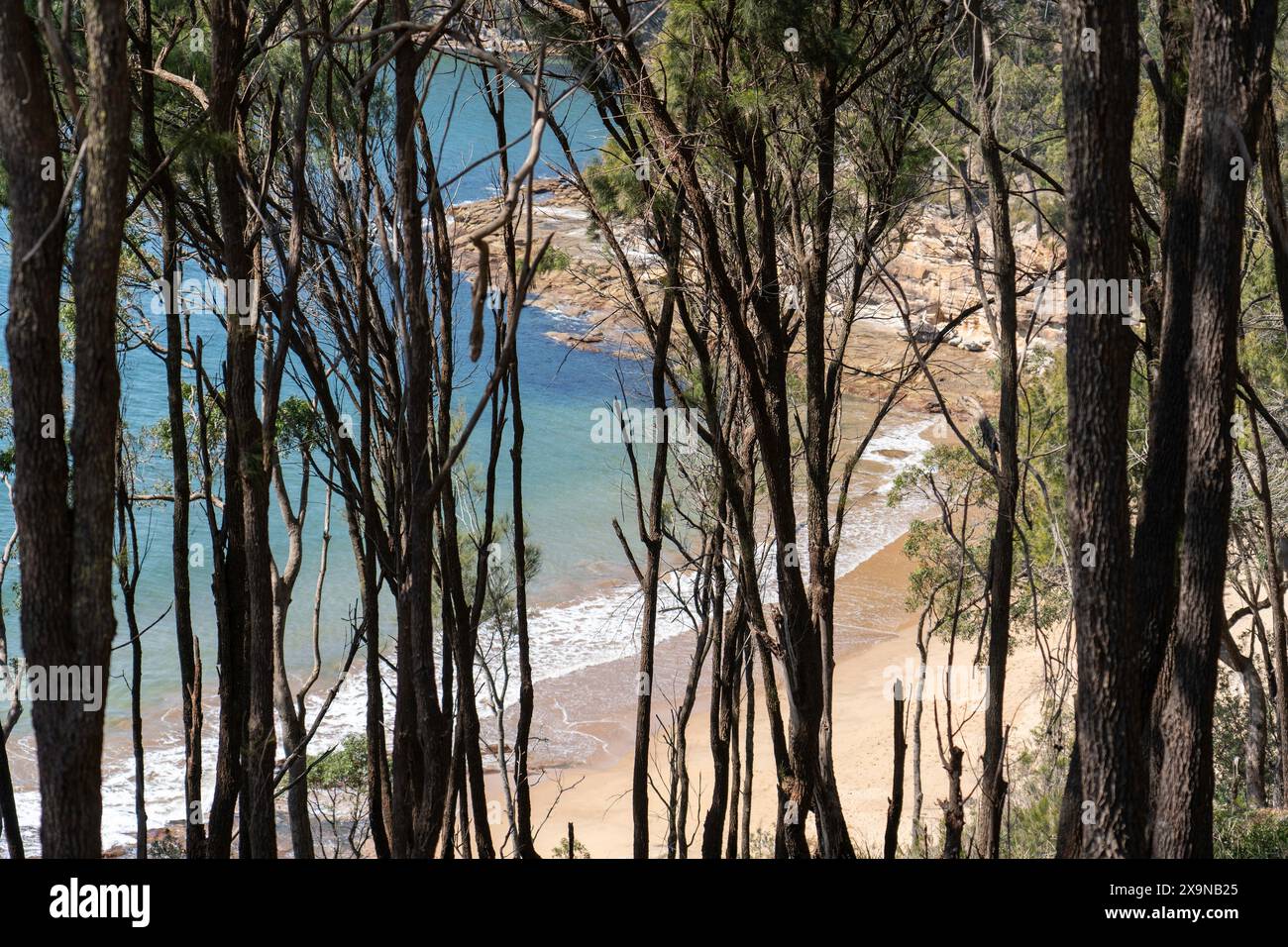 Bush walking in the Ku-ring-gai Chase National Park down to Flint and ...
