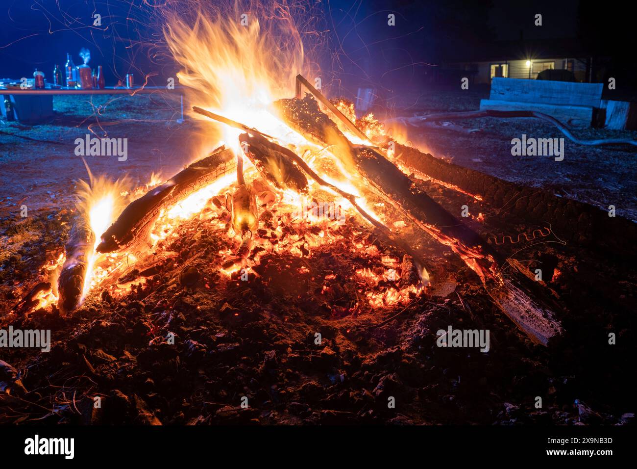 Outdoor campfire bonfire, burning trees at night. Large orange flame ...