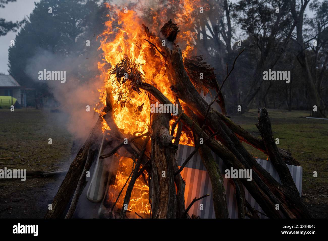Outdoor campfire bonfire, burning trees at night. Large orange flame ...
