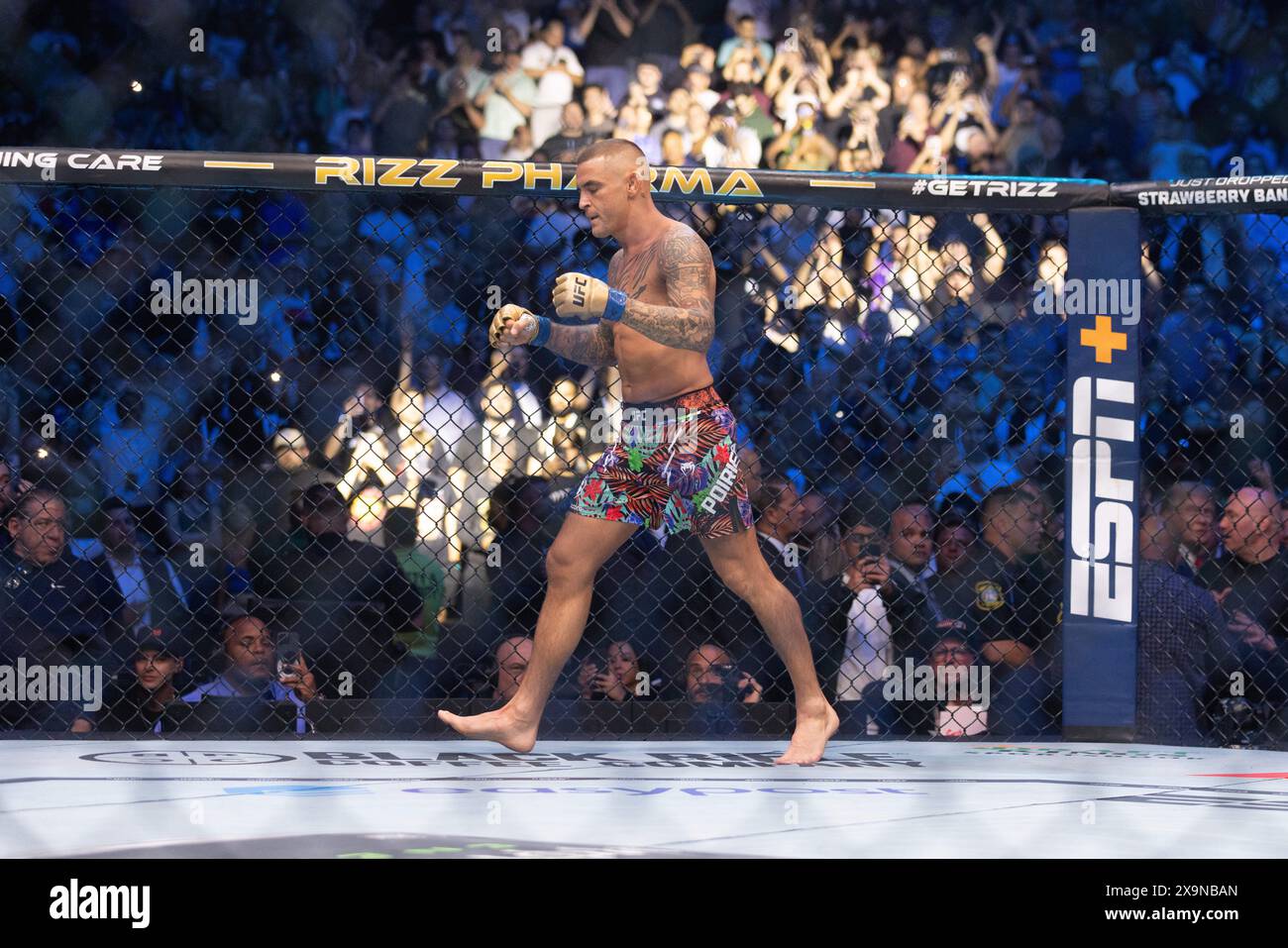 Islam makhachev vs dustin poirier hi-res stock photography and images ...