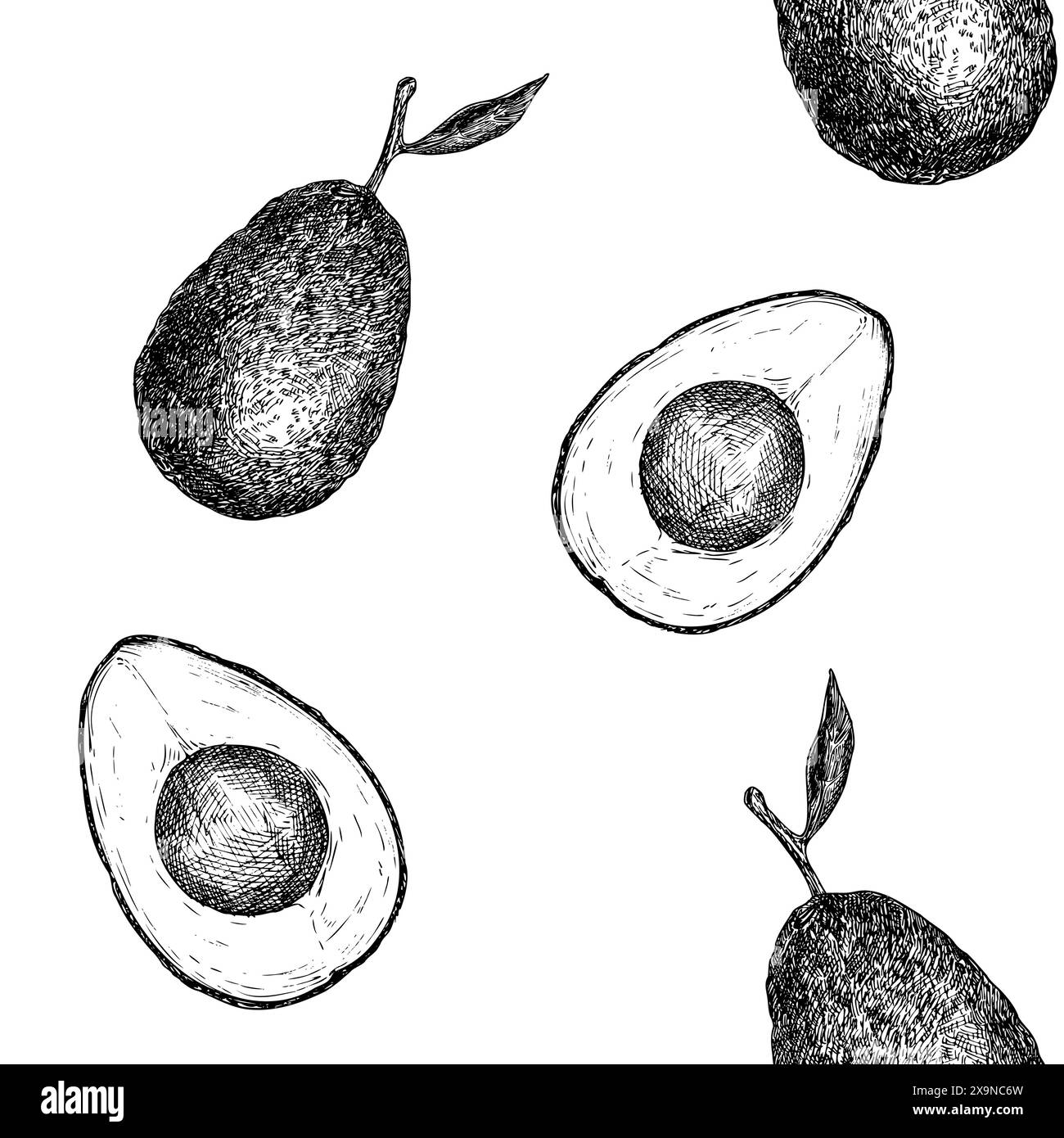 Seamless pattern with avocado hass graphic illustration, hand drawn ...