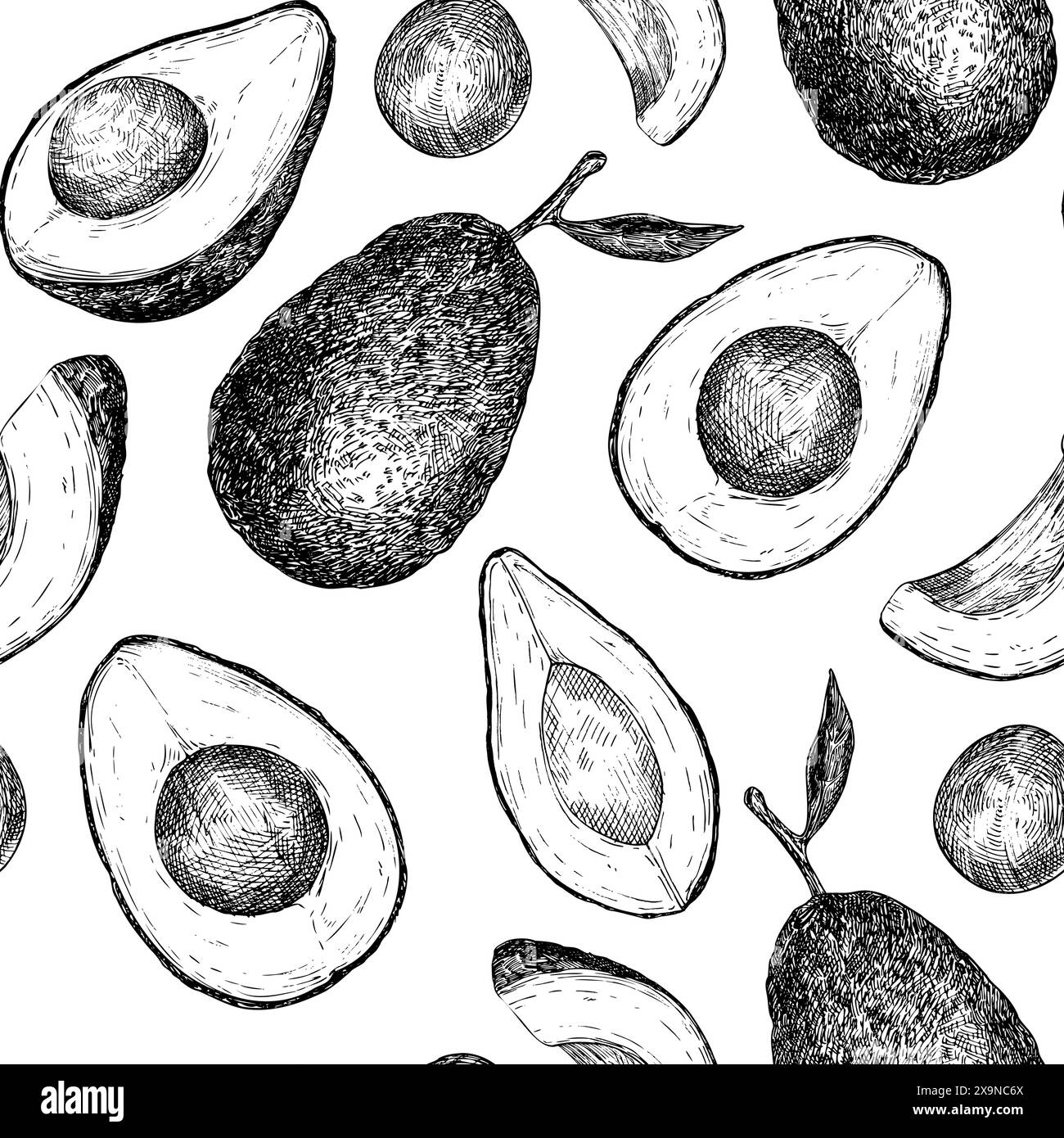 Seamless pattern with avocado hass graphic illustration, hand drawn ...