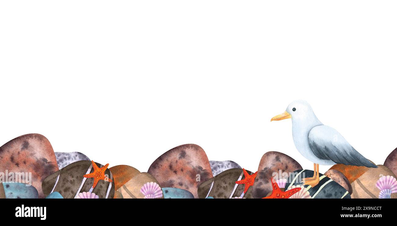 Stone shore with seagull, shells and starfish. Seamless border, banner ...