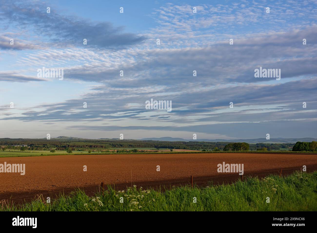 The flat and fertile floor of the Angus Glens with the sun rising and ...