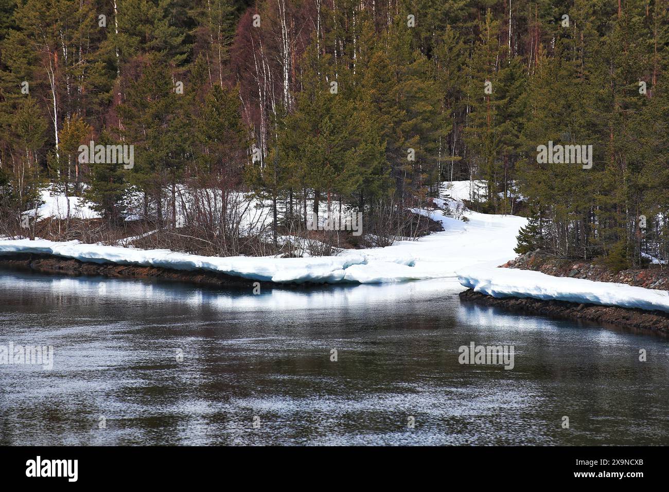 Frozen riverside with a little estuary in northern Sweden Stock Photo ...
