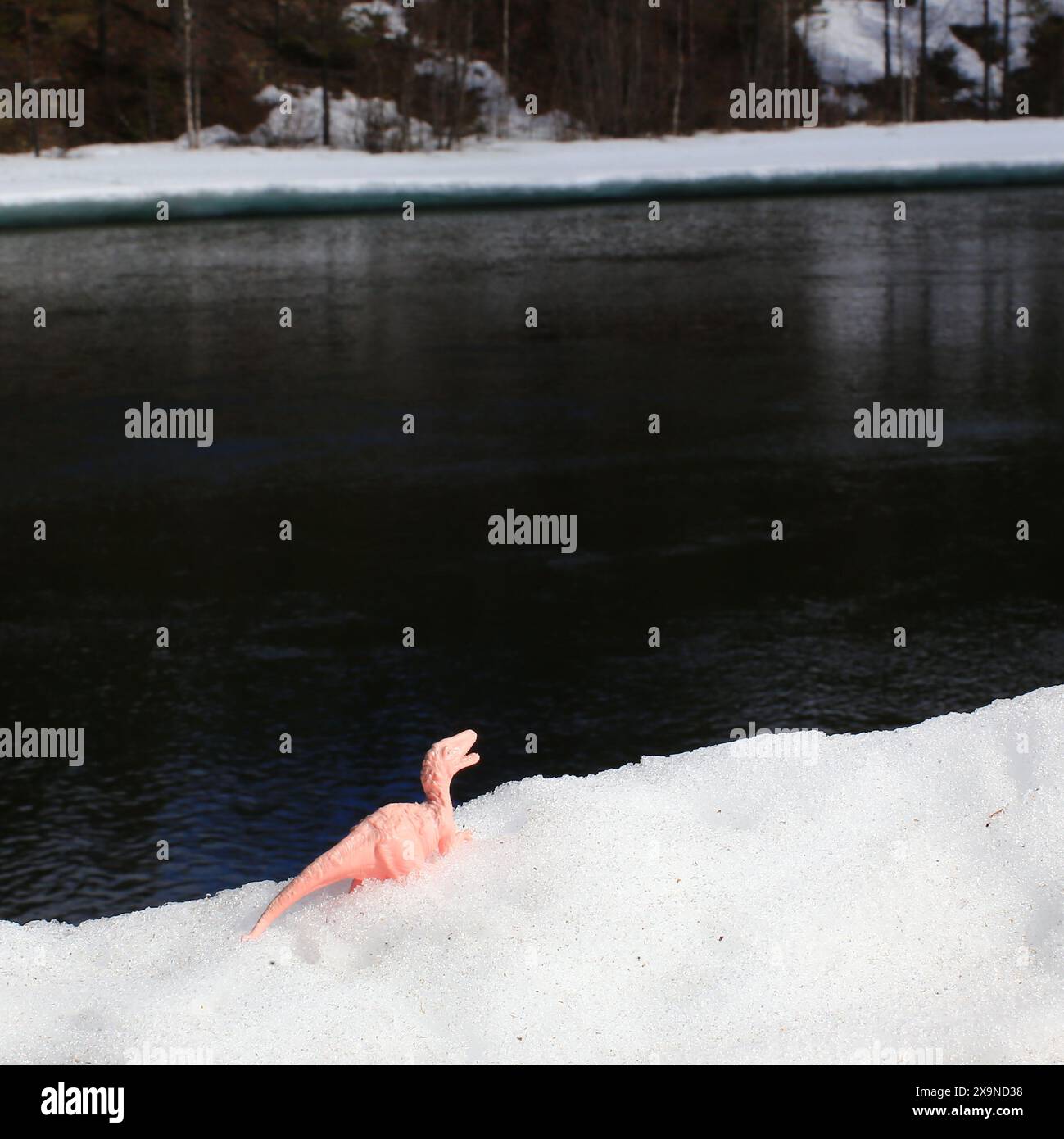 Toy dinosaur standing in the melting snow at riverside in northern ...