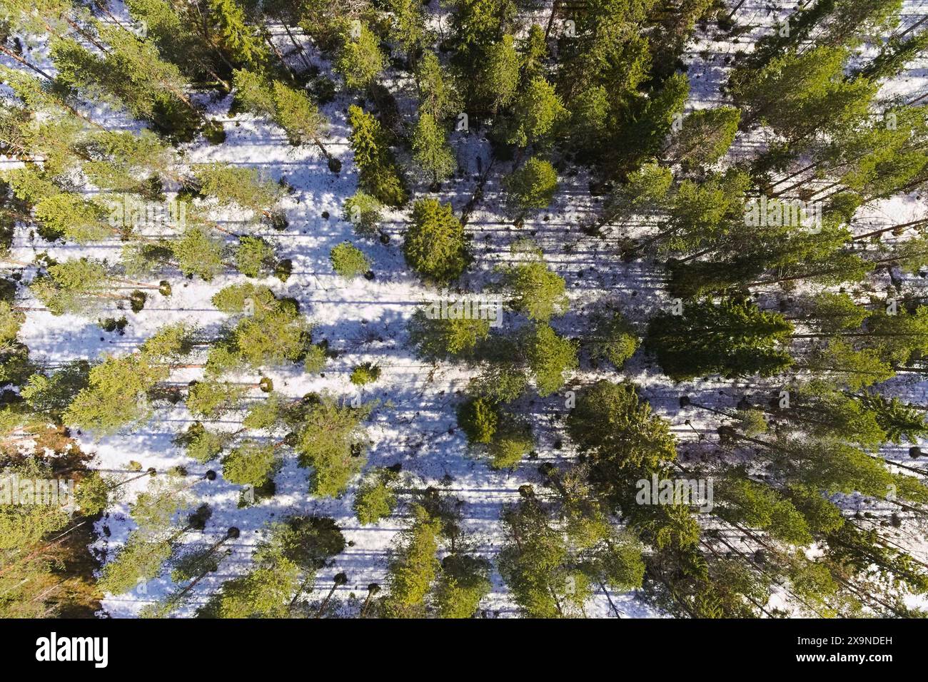 Aerial top down people ice hi-res stock photography and images - Alamy