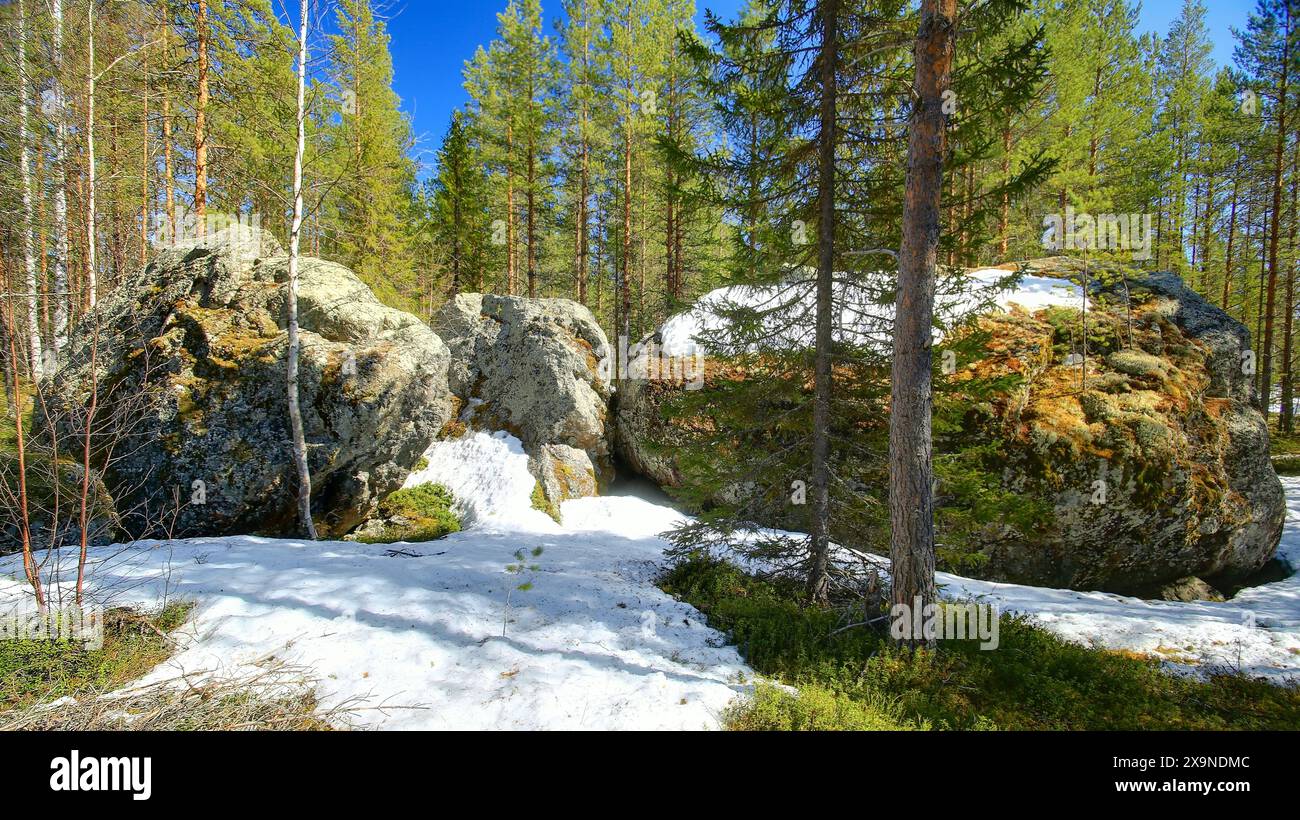 Three massive boulders in northern Swedish forests Stock Photo - Alamy