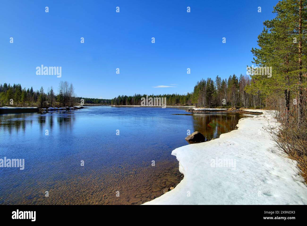 Frozen riverside of Skellefte river under blue sky in northern Sweden ...