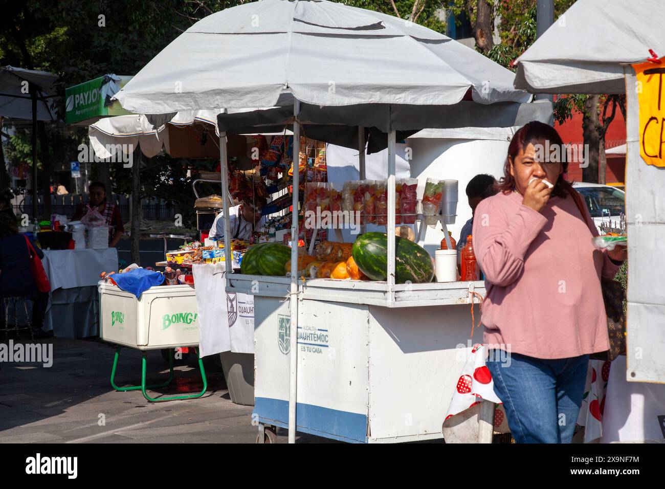 Food Stands on Avenida Álvaro Obregón in roma Norte Neighbourhood of ...