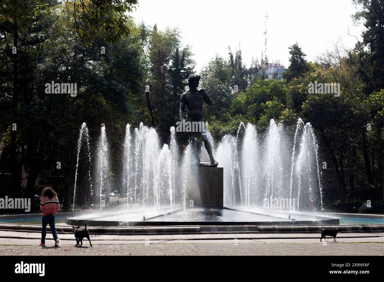 Statue of David Fountain on Plaza Rio de Janeiro in Mexico City, Mexico ...